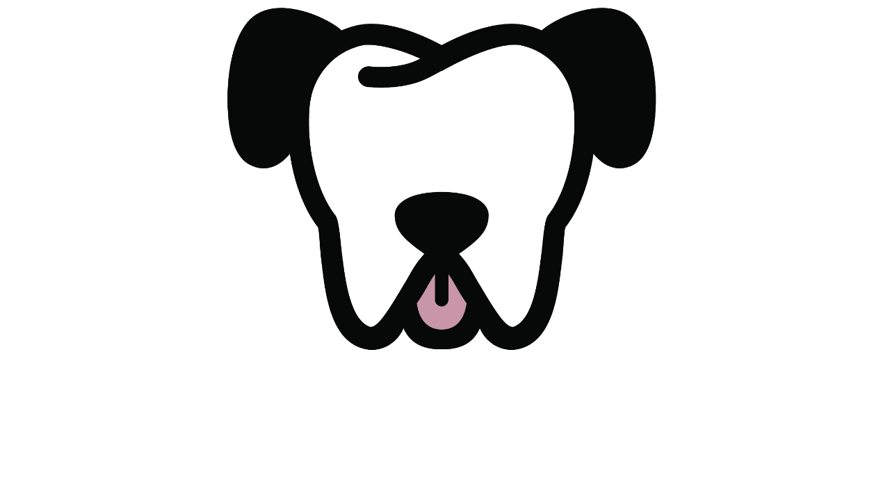 Tooth Resorption in Cats - What is it and How is it treated? | Your Pet ...